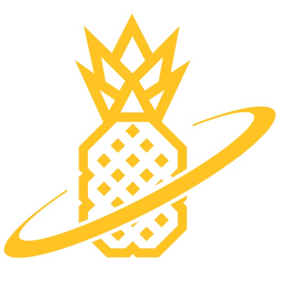 EZY FRAME FABRIC STRAIGHT WALL - Pineapple Planet Creative Perth