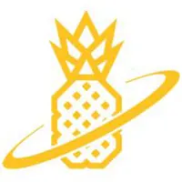 DRONE FOOTAGE FOR SCHOOLS | Pineapple Planet Perth